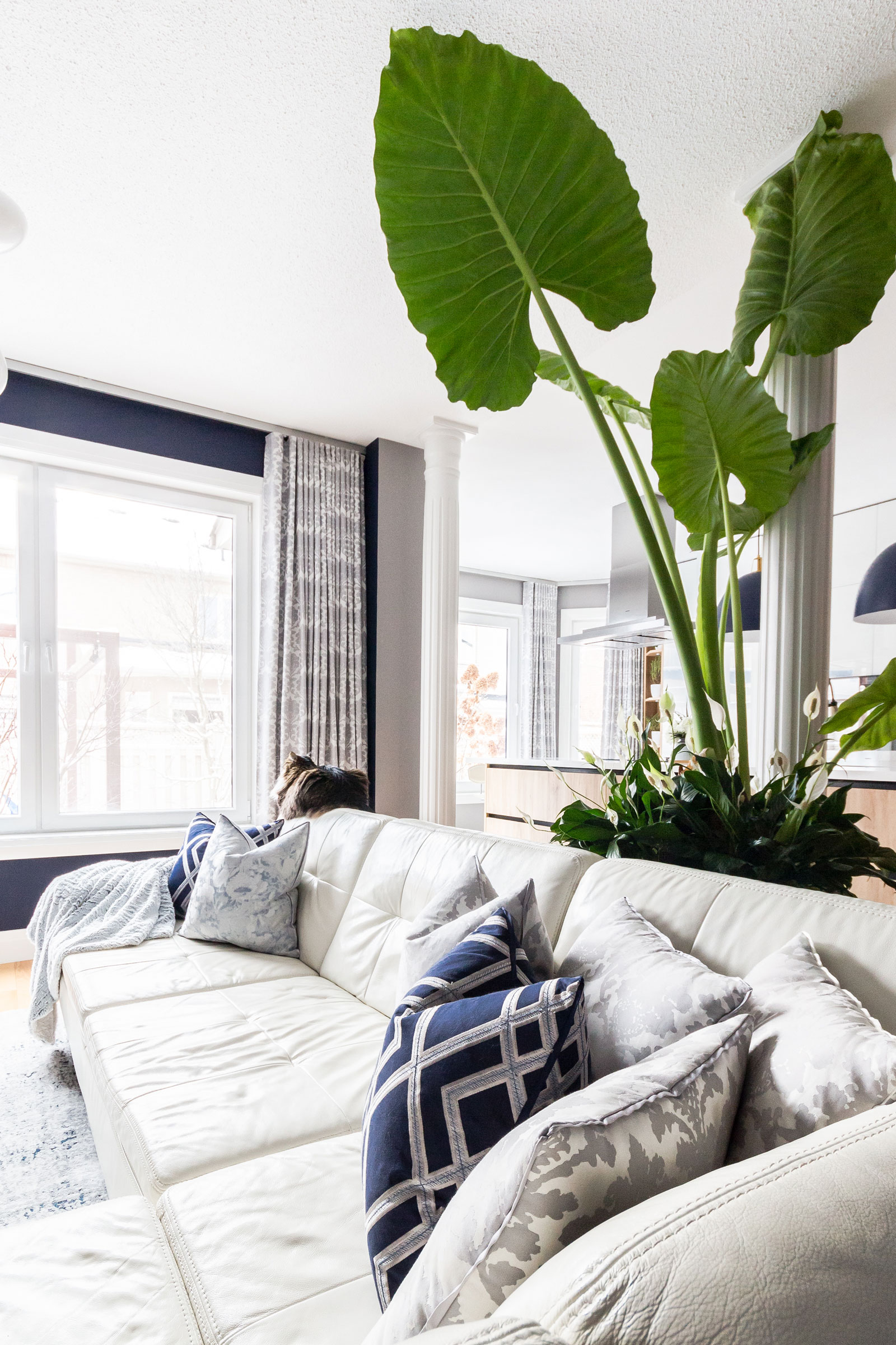 Vellore Village Living Room Reveal